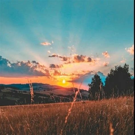 Eric Nichols Eric Nichols2002 • Threads Say More