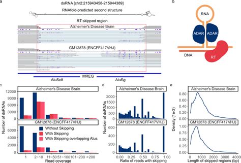 Long Read Rna Seq Detected Highly Structured Regions A Igv Plot For