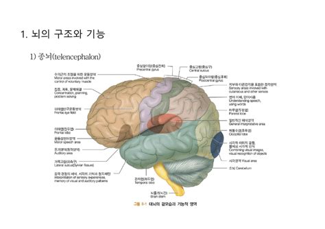 인간의 생물학적 이해 의약학