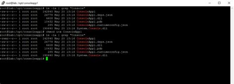 Run A Net Core C Console App On Ubuntu