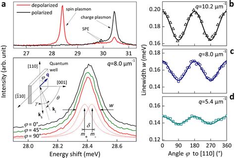 Anisotropic Splitting Of Intersubband Spin Plasmons In A Gaas Quantum