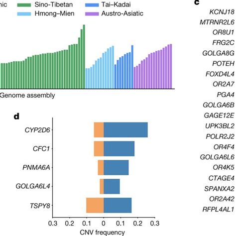 Cpc Pangenome Graph And Cpc Specific Variants Compared To The Hprc Download Scientific Diagram