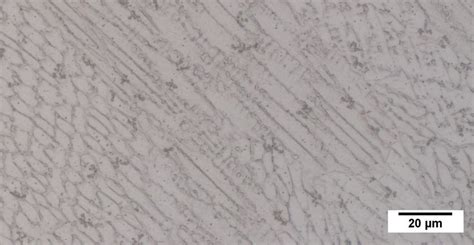 Microstructure Of As Built Sample 500x Magnification Download Scientific Diagram