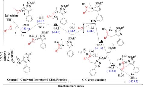 Calculated Energy Profiles Of Binuclear Copper I Catalyzed Interrupted Download Scientific