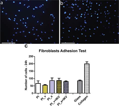 Comparison Of Fibroblasts Adhesion On Different Substrates Ab Download Scientific Diagram