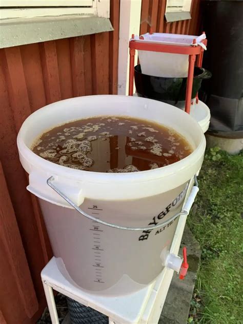 Cyser Vs Cider Whats The Difference ExpertBrewing