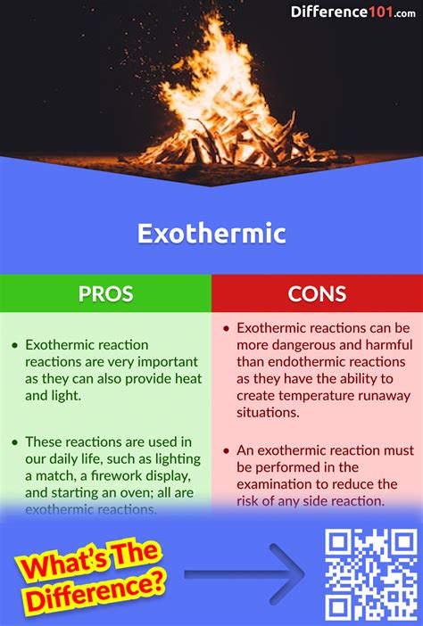 Endothermic Vs Exothermic 5 Key Differences Pros And Cons Examples