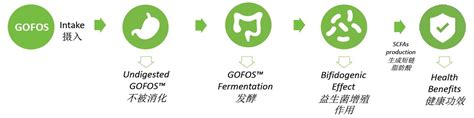 Galam 低聚果糖介绍 知乎