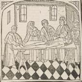 Scenes Of Dissection Vivitur Ingenio