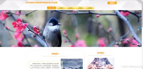 基于djangovuevue大学生教育心理学测评系统的设计与实现【开题报告程序论文】 计算机毕设 Csdn博客