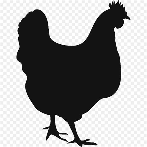 Chicken Silhouette Outline 1433031 Clipart Library