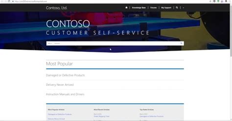 Configure And Customize Powerapps Dynamics Crm Portal By Ridanazir472