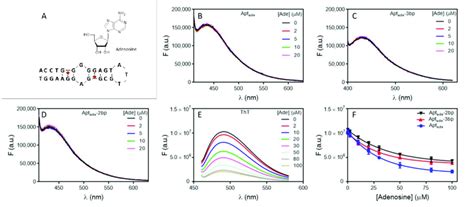 A The Structures Of The Aptamer And Adenosine The Fluorescence Download Scientific Diagram