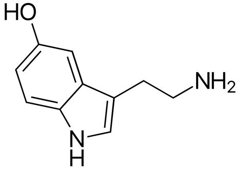 Triptans And Ergot Alkaloids Concise Medical Knowledge