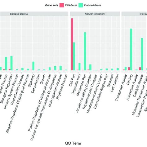 Functional Annotation Of The Predicted Genes In The Non Reference Download Scientific Diagram