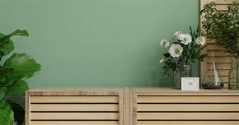 녹색 식물 녹색 벽 및 선반이 있는 내부 벽 모형3d 렌더링 사진 Unsplash의 실내 이미지