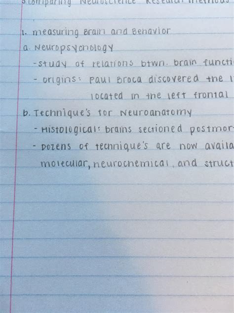 Posted One In Pen Last Night But These Are My Cognitive Neuroscience