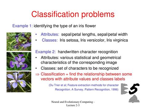 Ppt Feedforward Neural Networks Classification And Approximation Powerpoint Presentation Id