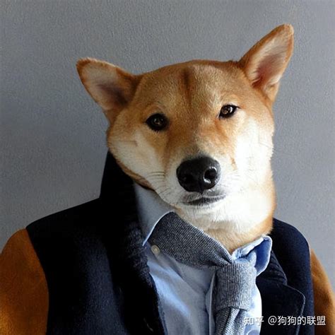 告诉你一件事女生不要养公狗 知乎