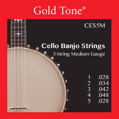 What Are The Banjo Strings Find Out How To Identify And Replace Them