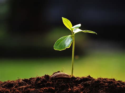 Heres Where Seed Investors Are Scaling Up TechCrunch Heres Where Seed Investors Are Scaling Up TechCrunch