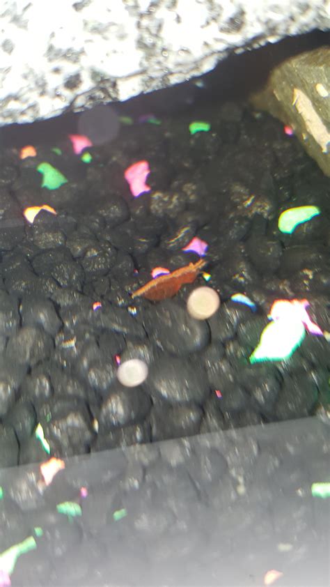 Is This Line Normal I Don T Remember It Being There Before Read Mixed Things About The Line So