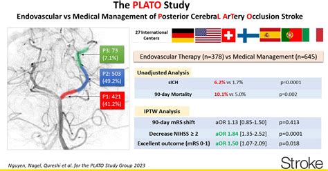 Endovascular Versus Medical Management Of Posterior Cerebral Artery Occlusion Stroke The Plato Endovascular Versus Medical Management Of Posterior Cerebral Artery Occlusion Stroke The Plato