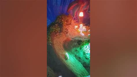 නත්තල් ගවලෙන 2023 Youtube