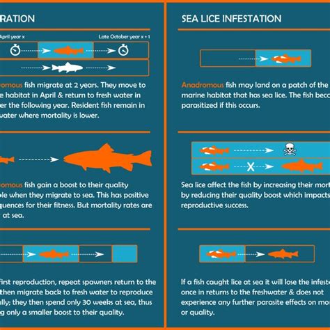Infographic Of The Key Components Of The Agent‐based Model Please Download Scientific Diagram