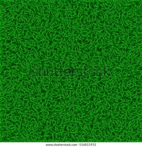 Artificial Grass Floor Indoor Over 20 Royalty Free Licensable Stock