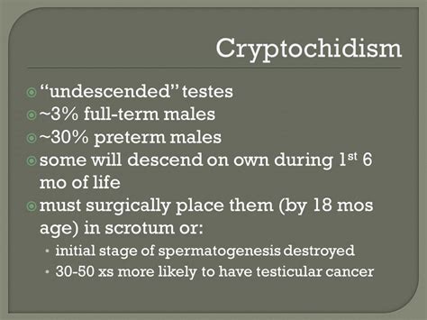 Reproductive System Male Part 1 Ppt Download