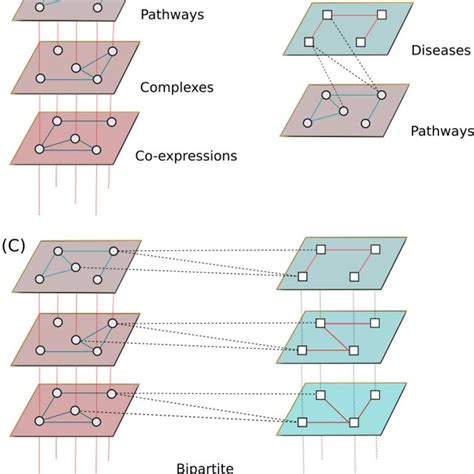 General Approach For Network Reconstruction On Multiplex Networks Download Scientific Diagram
