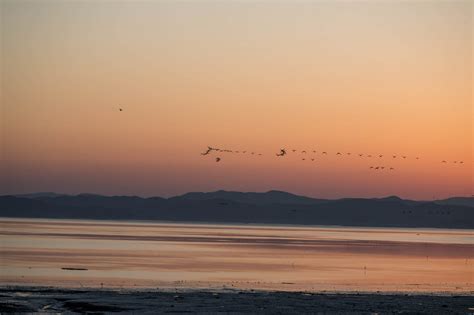 Consciousness As Structural Recursion A Framework For Meta Awareness