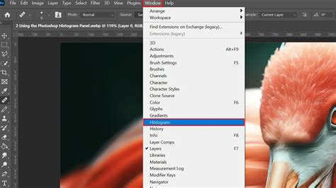 Photoshop Histograms Mastering The Feature