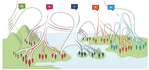 Genes And Languages Not Always Together Nccr Evolving Language