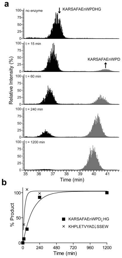 Global Identification Of Peptidase Specificity By Multiplex Substrate Profiling Pmc