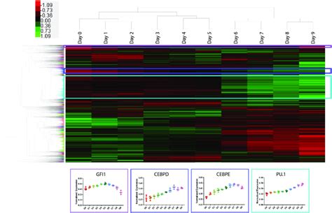 system wide hierarchical euclidean distance average linkage clustering