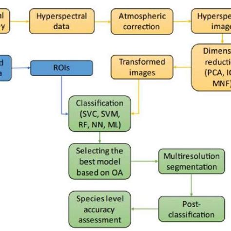 Workflow Of Image Processing And Post Classification Download Scientific Diagram