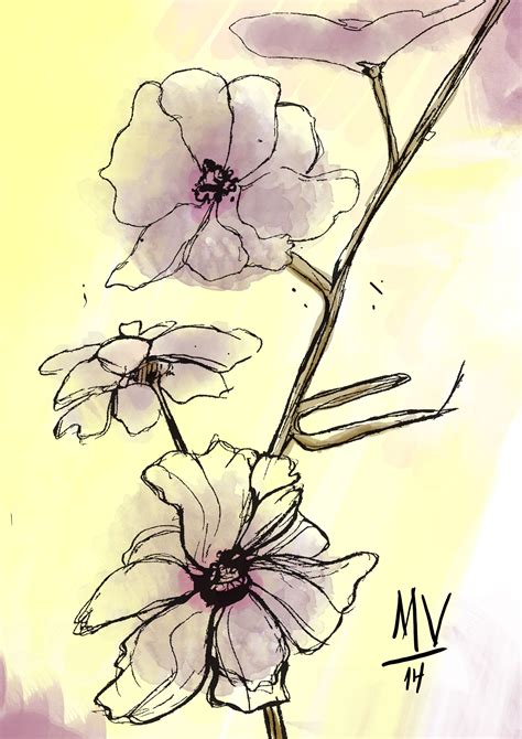 Tipo Pintura Flores Uma Ilustração Em Homenagem A Malala Yousafzai Que Ganhou O Premio