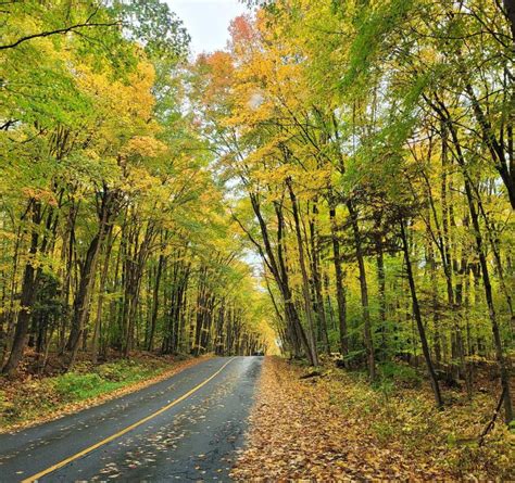 Hoang Ha On Linkedin React Custom Hook With Typescript Generic