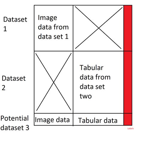 Multi Modal Learning Question See Comments For Details R