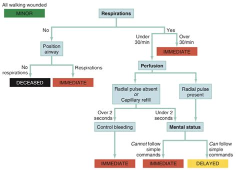 Triage Algorithm Protocols