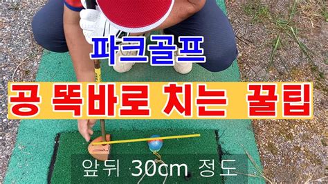 파크골프 공 똑바로 치는 꿀팁 퍼팅 티샷 어프로치샷 똑바로 보내기 파크골프 치는법 パークゴルフ youtube