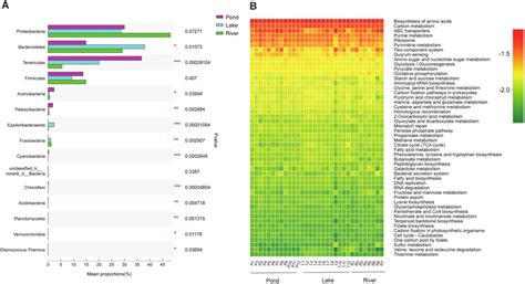 A Comparison And B Functional Prediction Of The Gut Microbiome