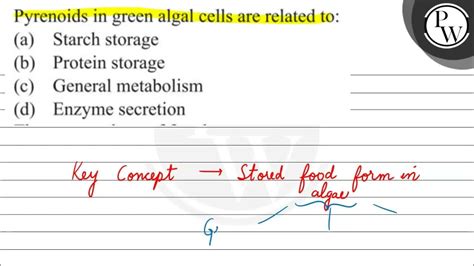 Pyrenoids In Green Algal Cells Are Related To A Starch Storage