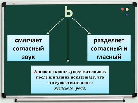 Мягкий знак на конце имен существительных после шипящих презентация онлайн