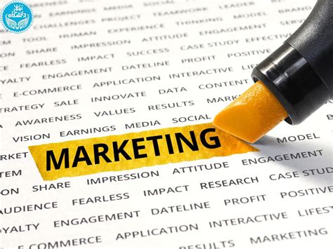 مراحل انجام بازاریابی و فروش موفق و موثر دانشگاه تهران