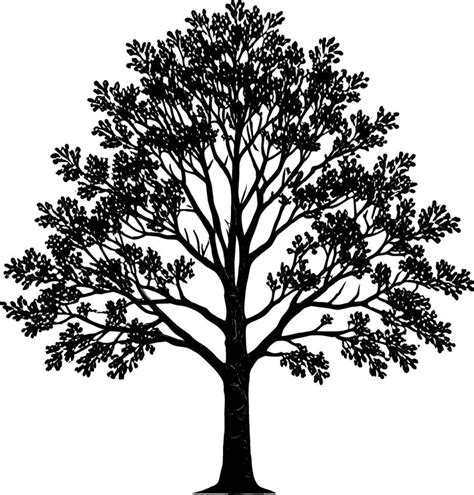 Elm Tree Icon In Simple Line Art Style 47623270 Vector Art At Vecteezy