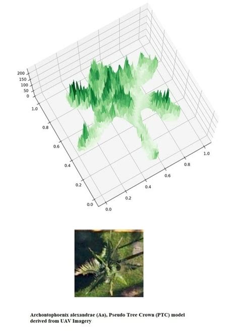 Improving Artificial Intelligence Based Individual Tree Species Classification Using Pseudo Tree