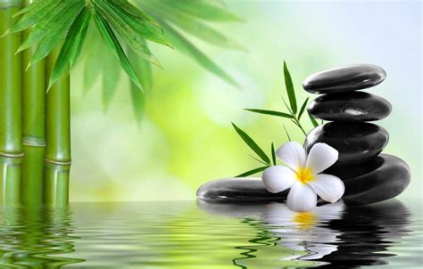 Bamboo Spa Wallpapers Top Free Bamboo Spa Backgrounds Wallpaperaccess